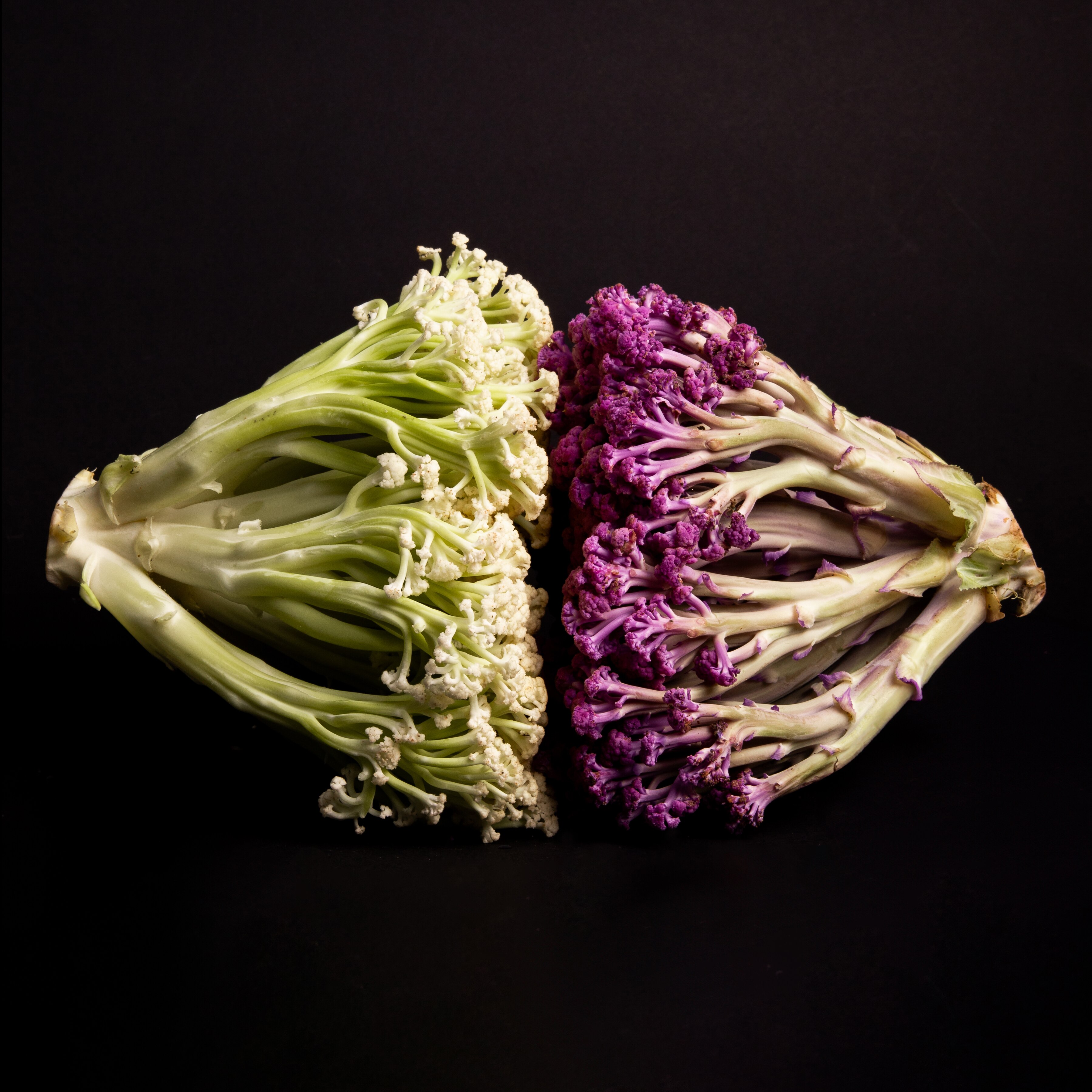 Cauliflower Murasaki Fioretto 70 Seeds (25 seeds/pack) | Korin