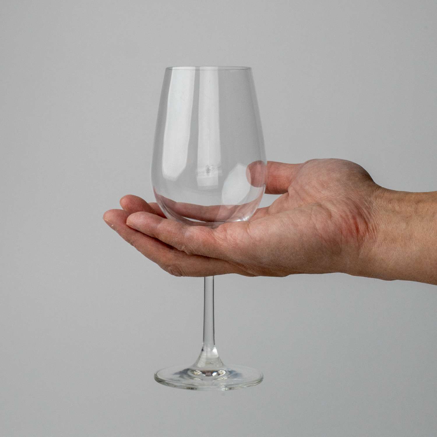 Korin Sena Chardonnay Glass Glass (Set of 6) | Korin