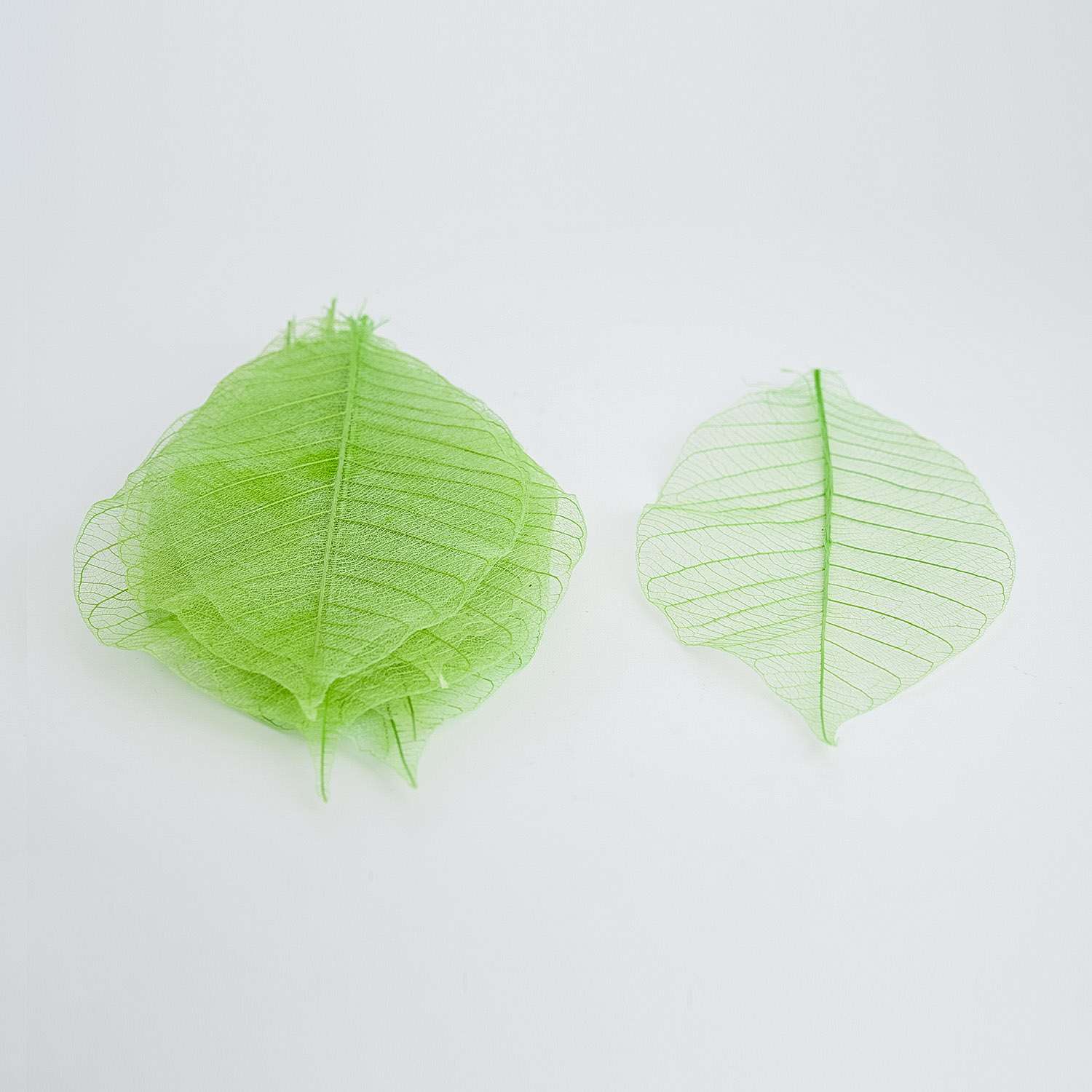 Watermarked Leaf Green 13cm | Korin
